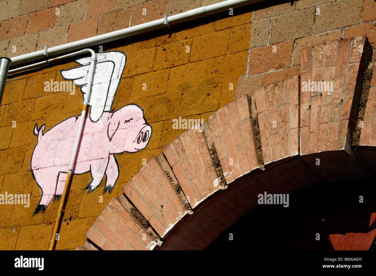 flying pig graffiti on wall in rome italy Stock Photo - Alamy
