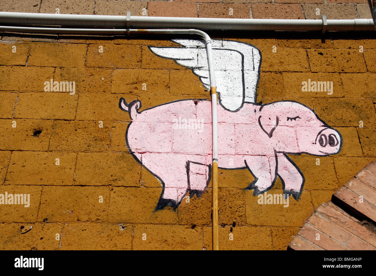 flying pig graffiti on wall in rome italy Stock Photo - Alamy
