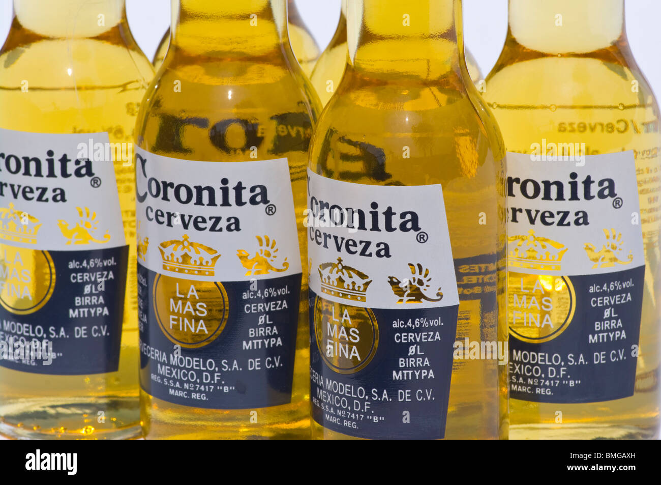 Coronita cerveza hi-res stock photography and images - Alamy
