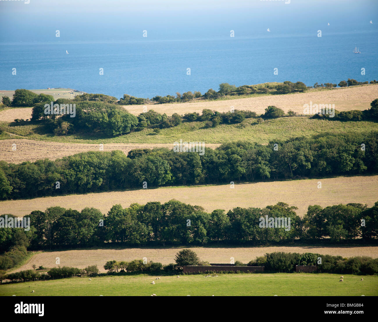 the view over dorset countryside from whiteways hill on army training ...