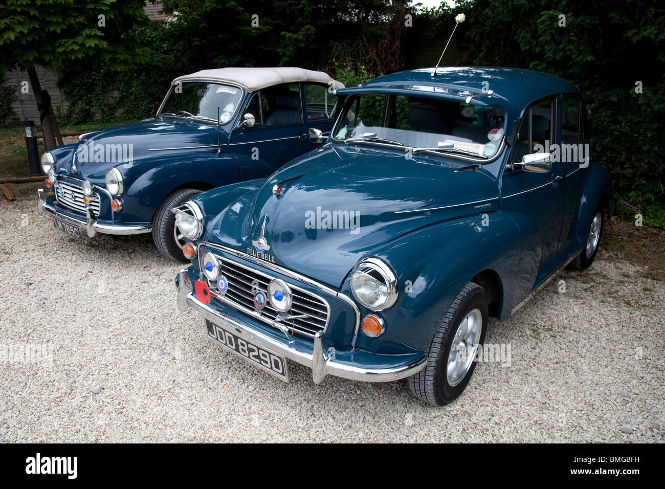 Classic Morris Minor cars lovingly restored vintage display Cheltenham ...