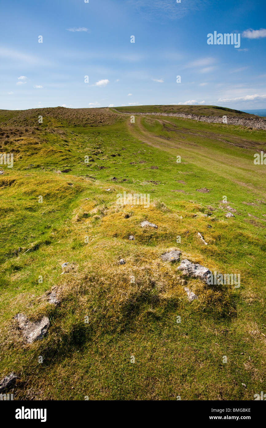 Hambleton Street South, NYM, England Stock Photo - Alamy