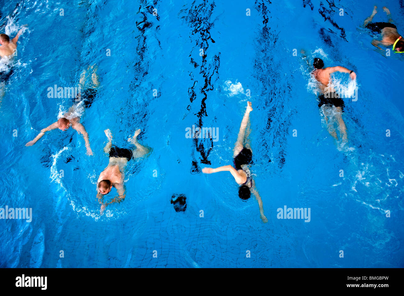 Swimmers in a pool Stock Photo - Alamy