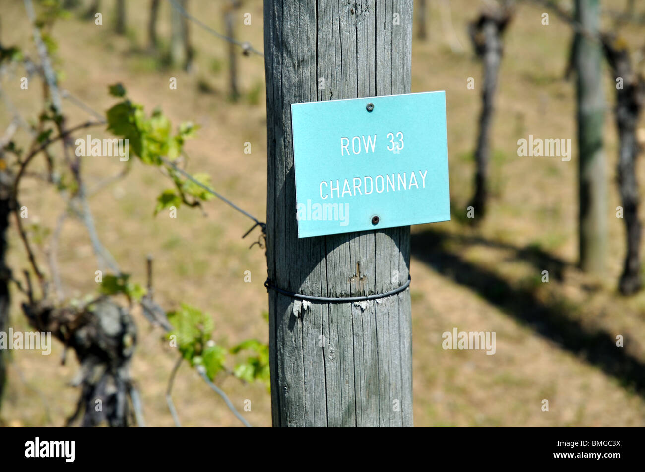 Rondo Grape High Resolution Stock Photography and Images - Alamy