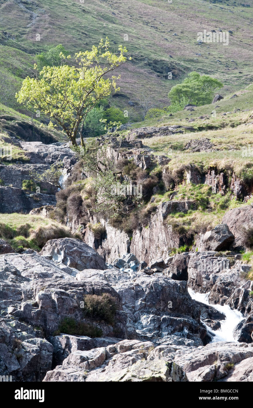 Lingcove bridge hi-res stock photography and images - Alamy