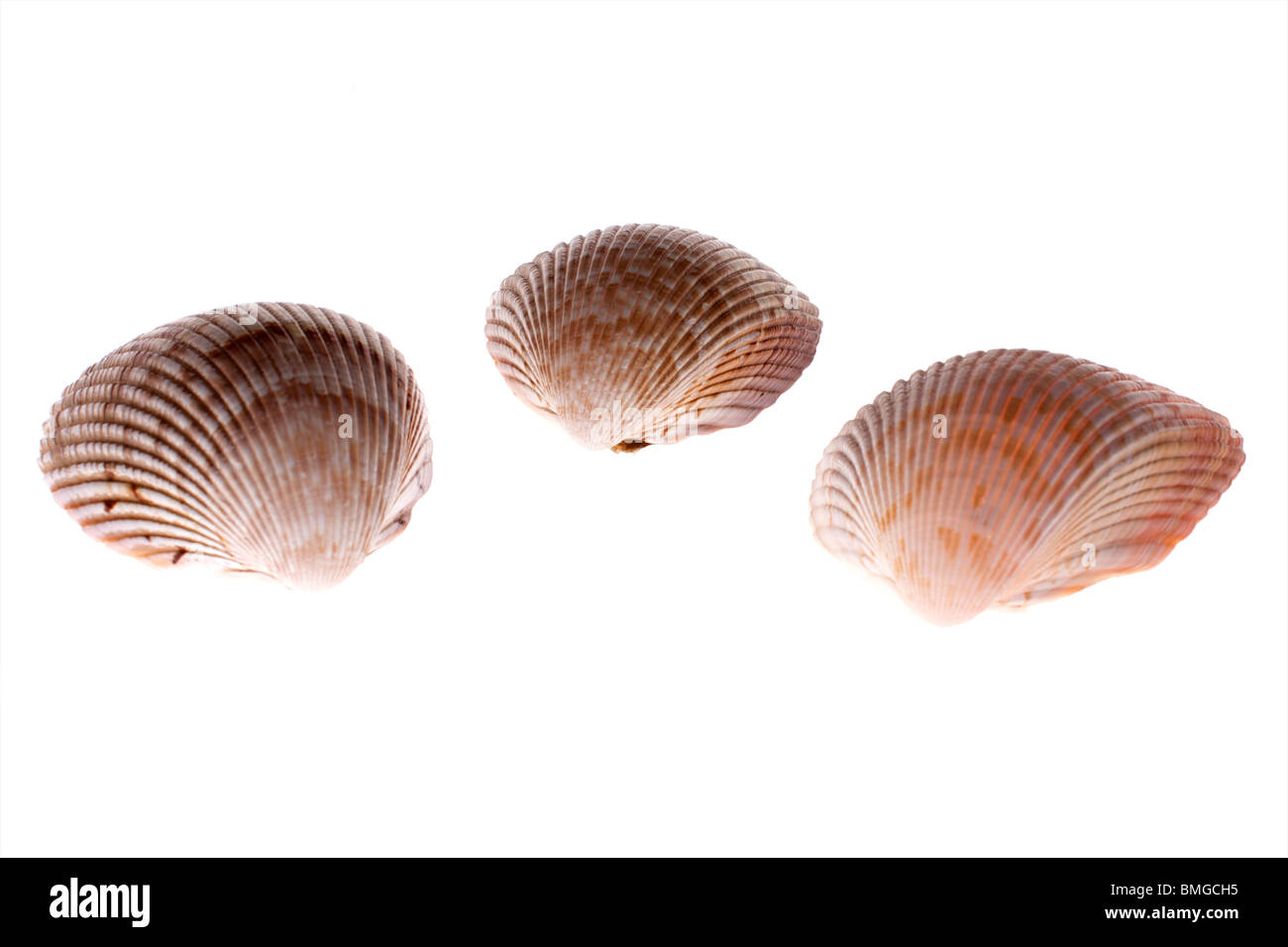 White van fan hi-res stock photography and images - Alamy