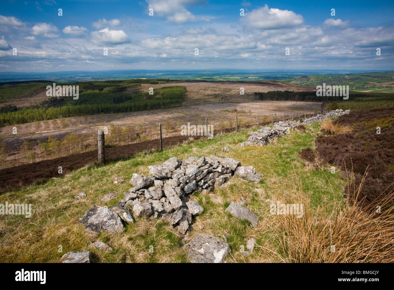 Deforestation england hi-res stock photography and images - Alamy