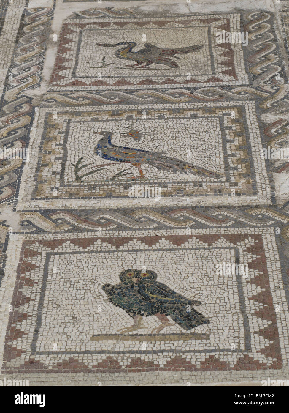 Roman mosaic of Birds in Italica. Seville province. Andalusia. Spain ...