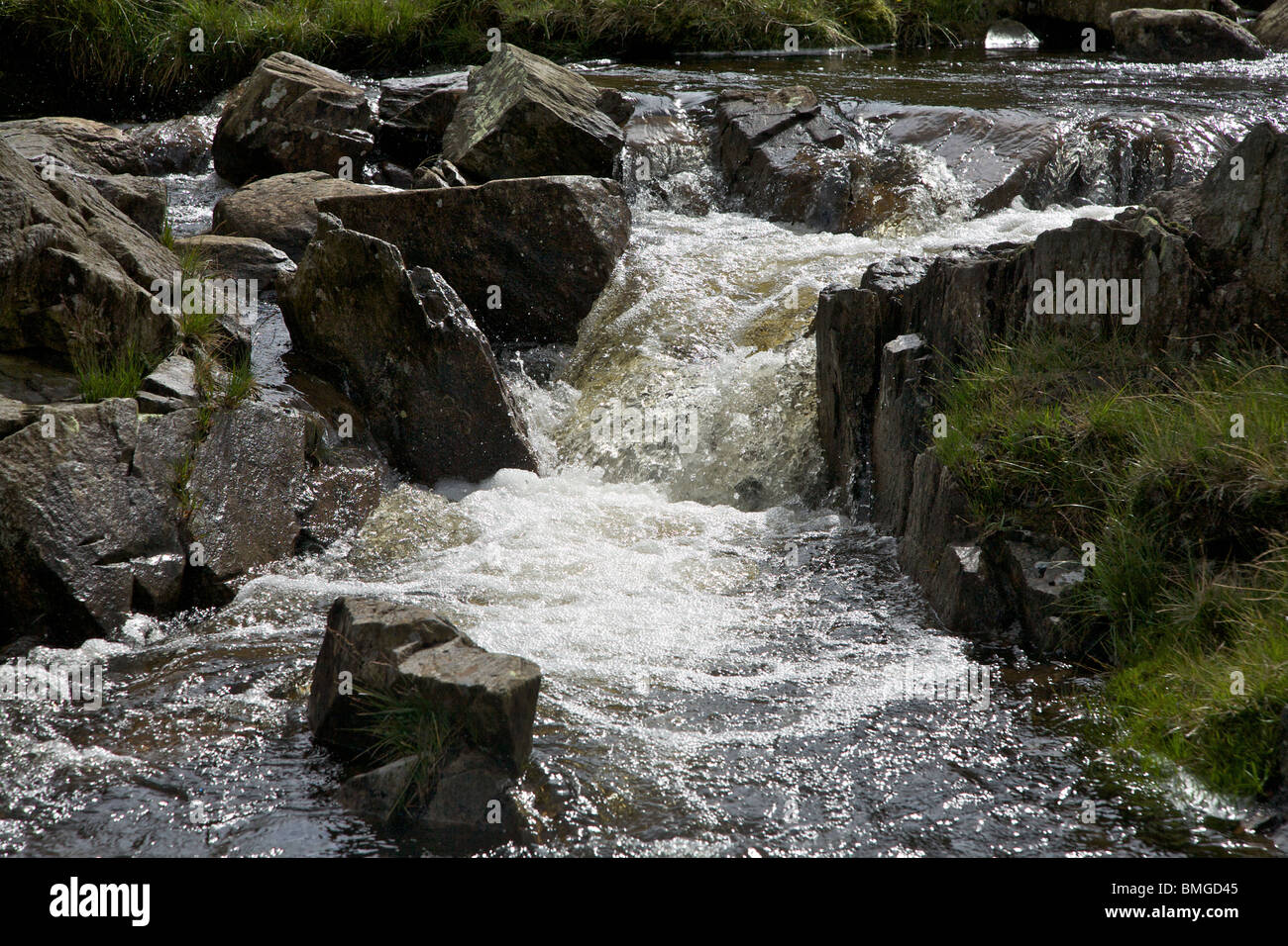 Flowing stream in the Lake District, Cumbria UK Stock Photo - Alamy