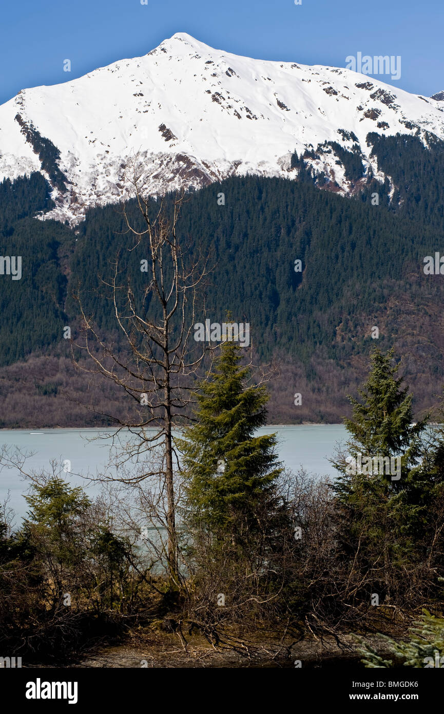 Spring mountain scene Stock Photo - Alamy