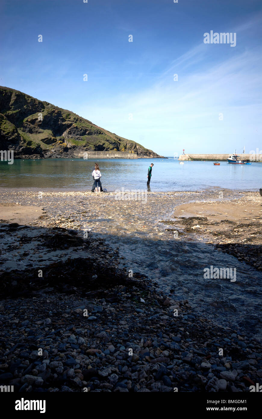 Port Issac Cornwall UK Harbor Harbour Stock Photo - Alamy
