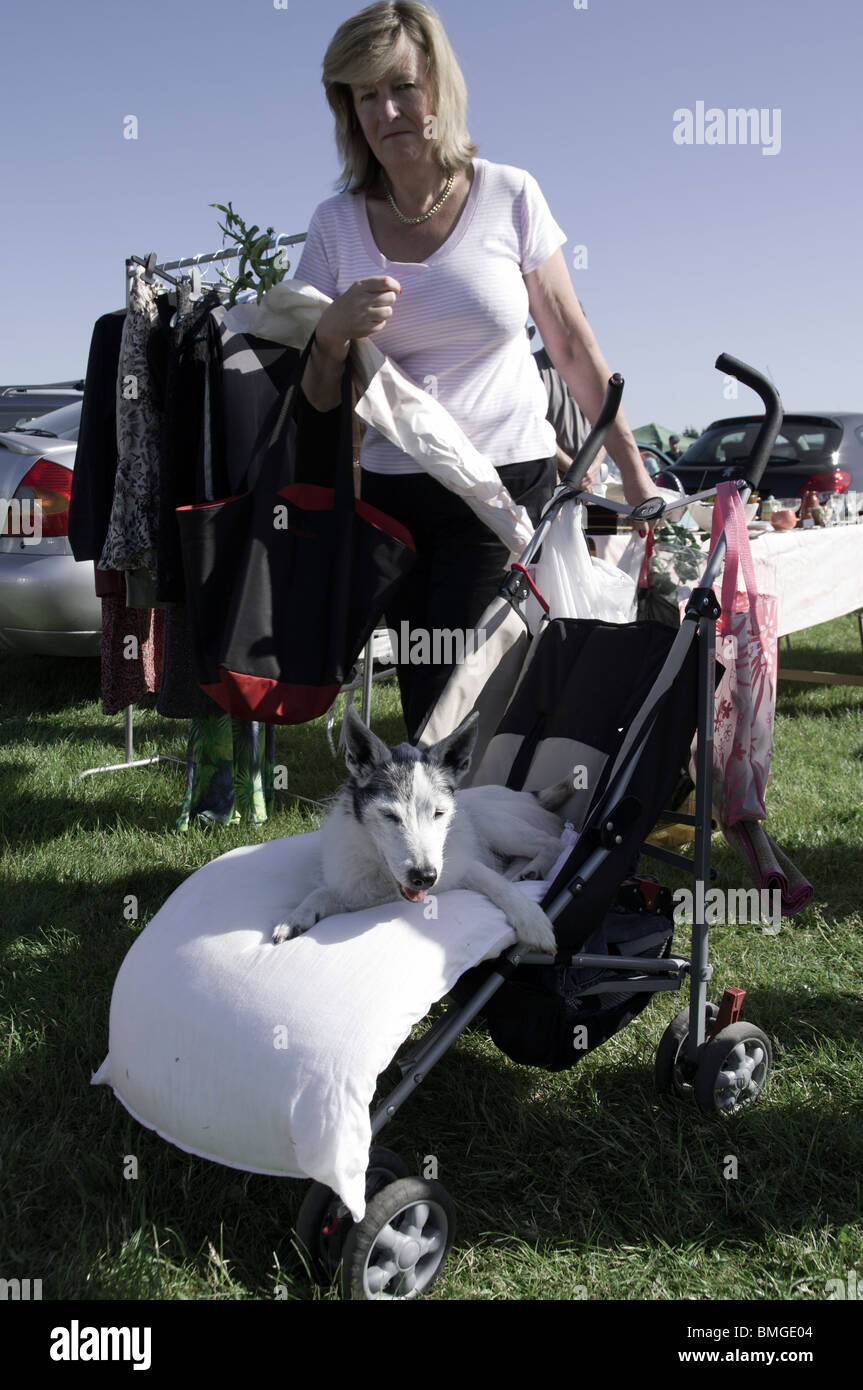 A blind and deaf dog is taken around a car boot fair by his owner Stock ...