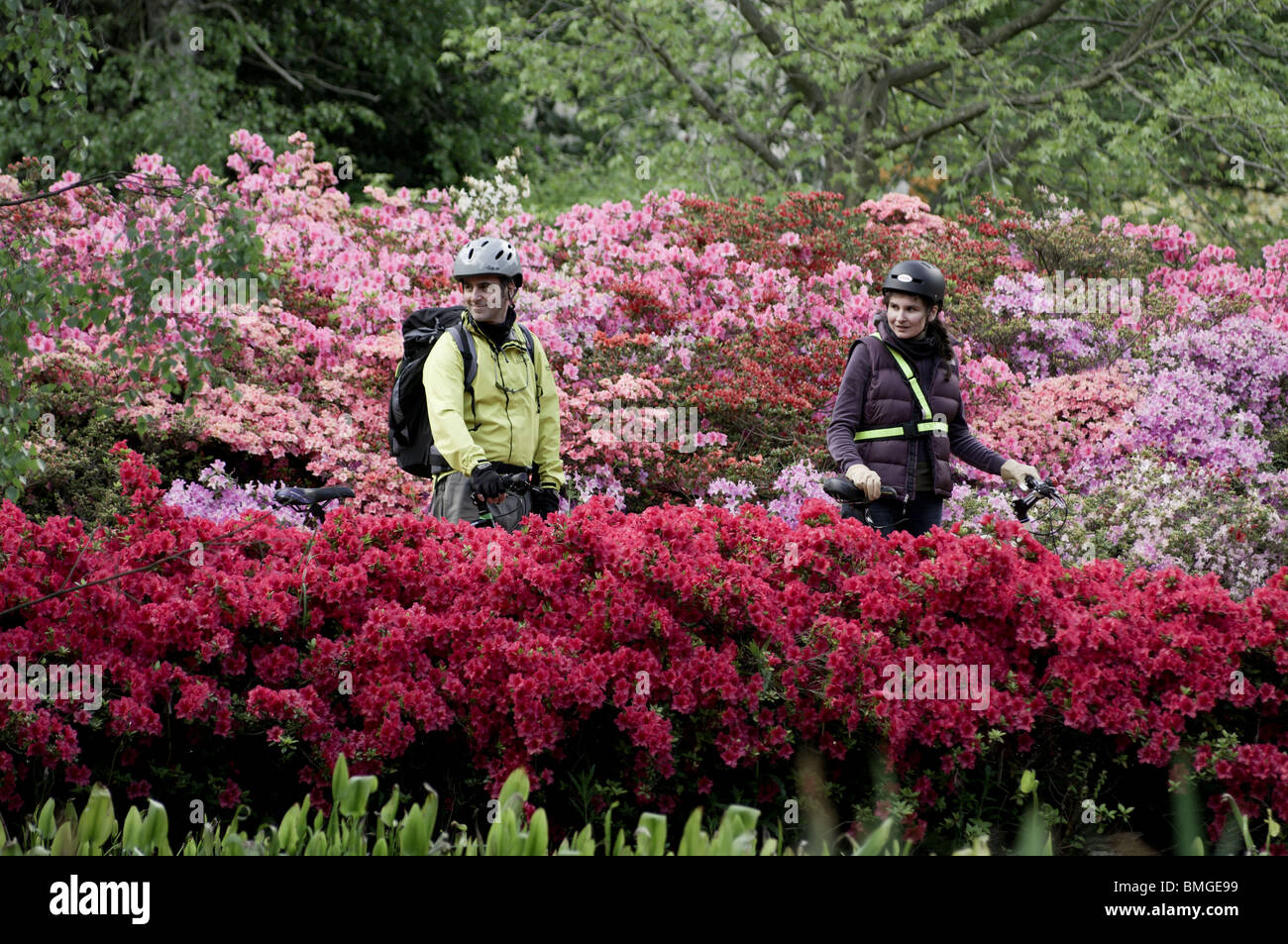 Isabella plantation during spring hi-res stock photography and images ...