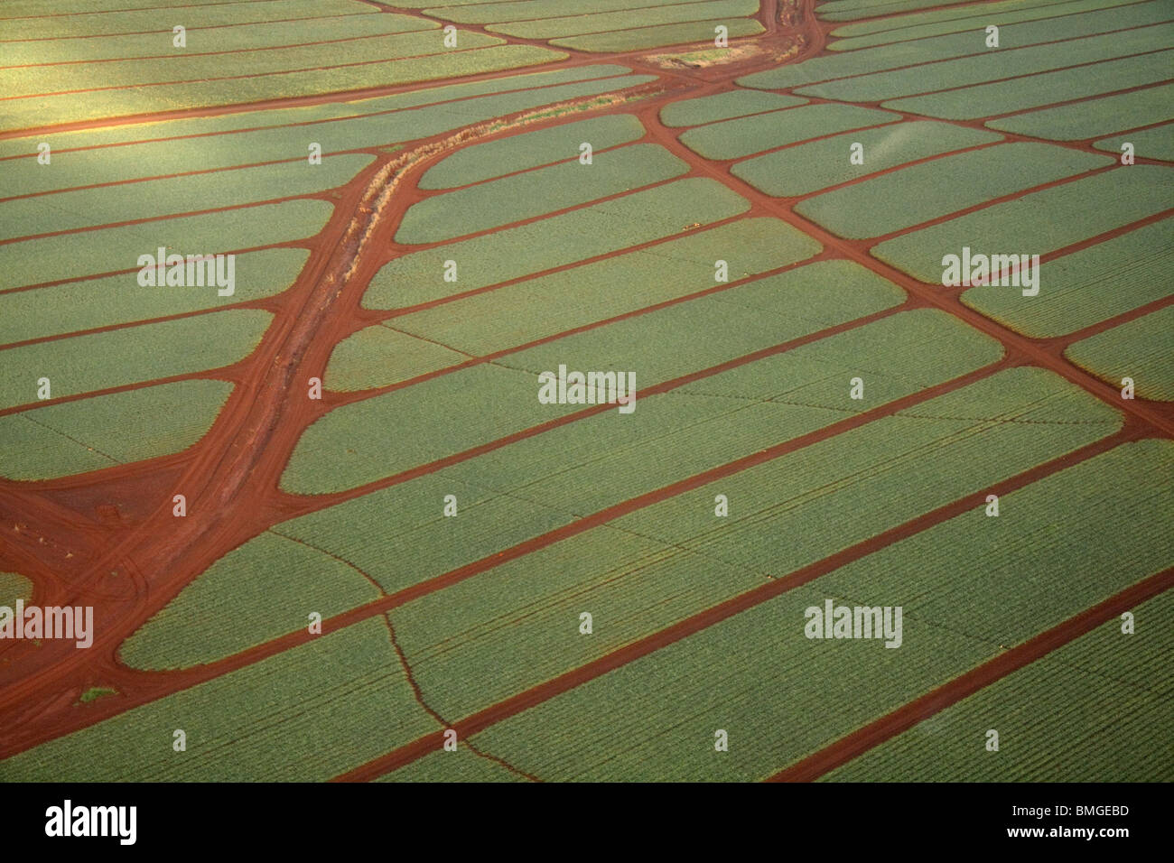 Aerial view of pineapple fields, North Shore, Oahu, Hawaii Stock Photo ...