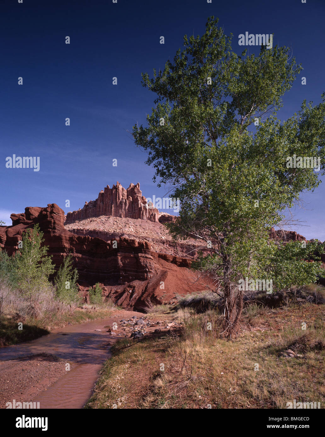 Capitol Reef National Park, UT Stock Photo - Alamy