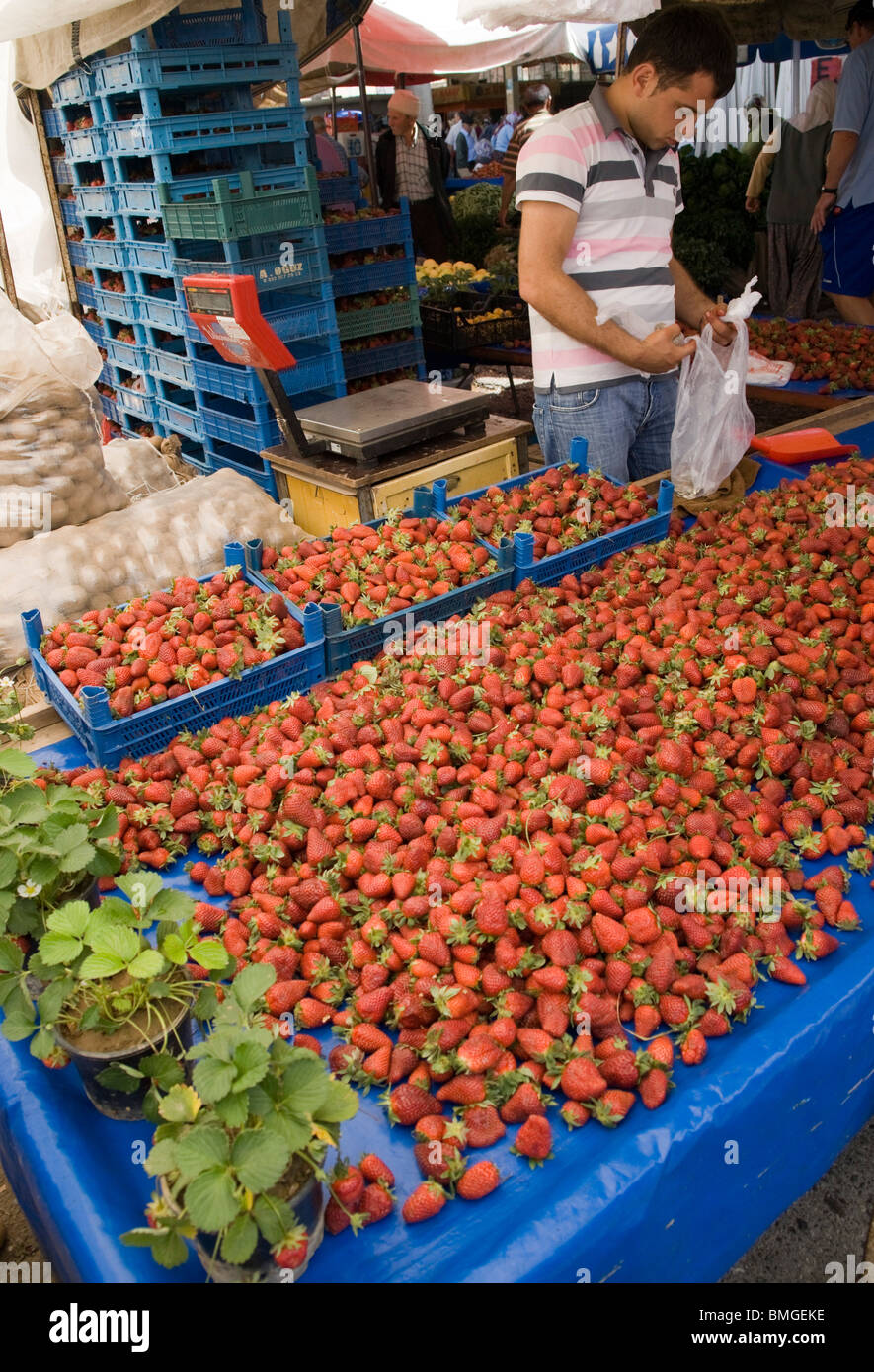 Turkey Antalya - Manavgat market fruit - fresh strawberries Stock Photo ...