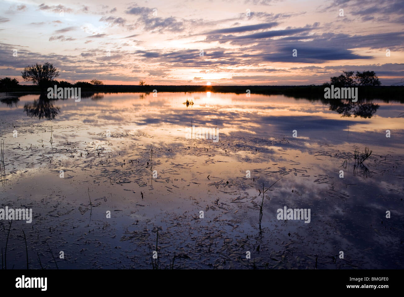 Los novios hi-res stock photography and images - Alamy