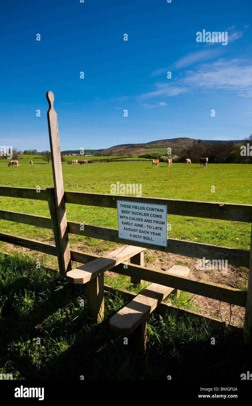 Farm stile hi-res stock photography and images - Alamy