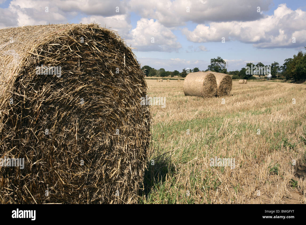 Straw bales in norfolk field hi-res stock photography and images - Alamy