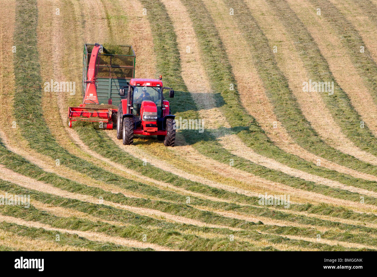 Collecting silage hi-res stock photography and images - Alamy