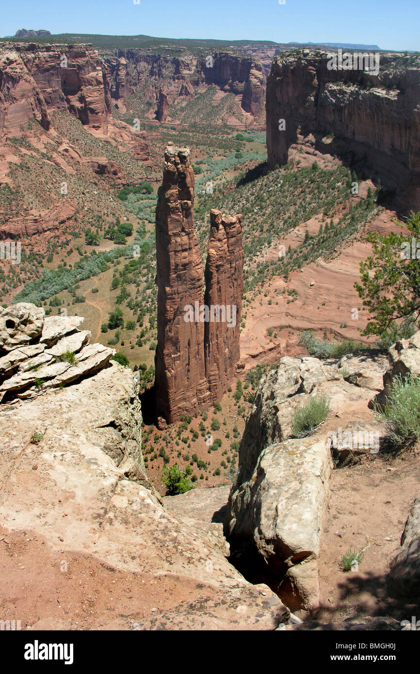 Spider united states hi-res stock photography and images - Alamy