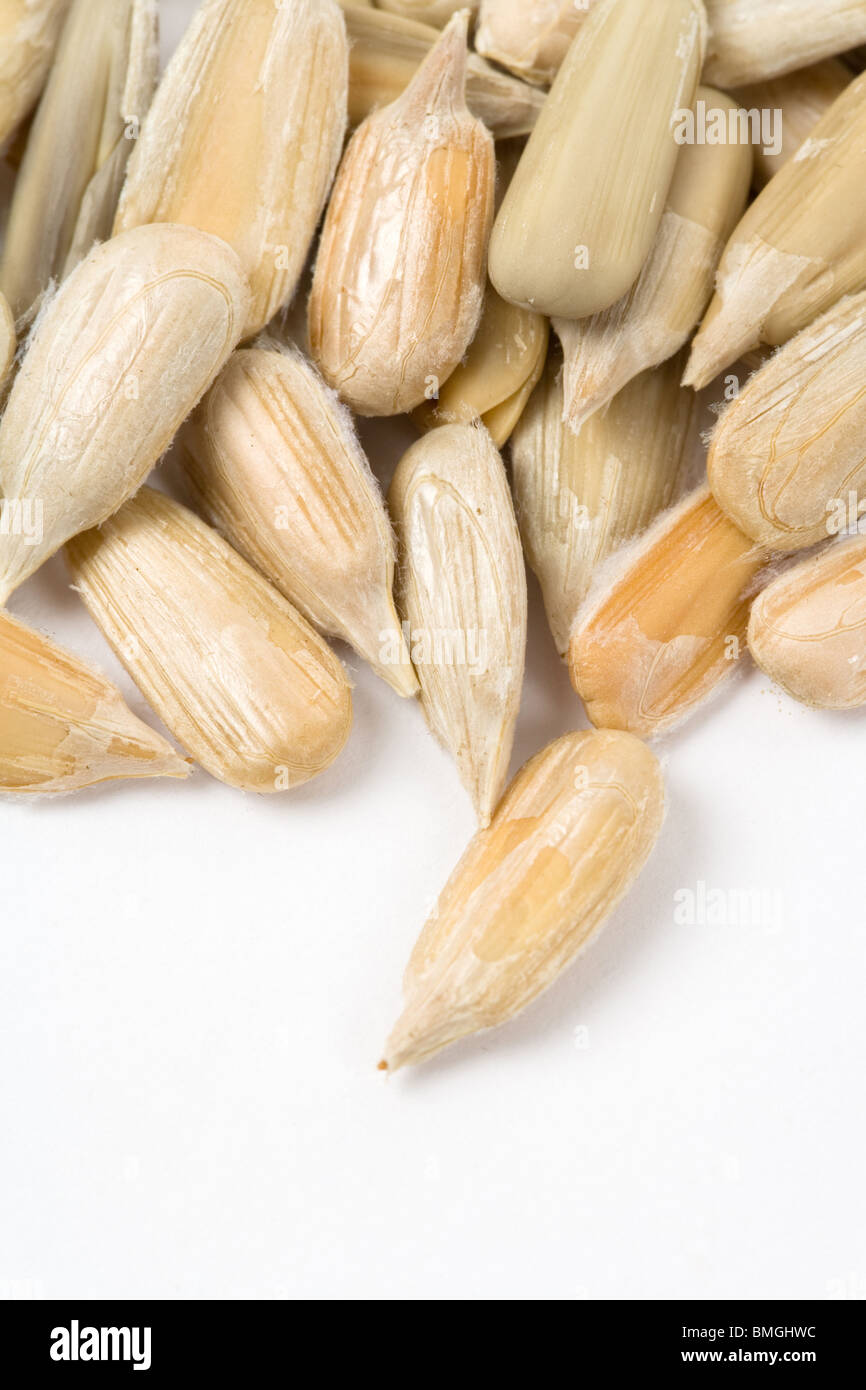 Shellless hi-res stock photography and images - Alamy