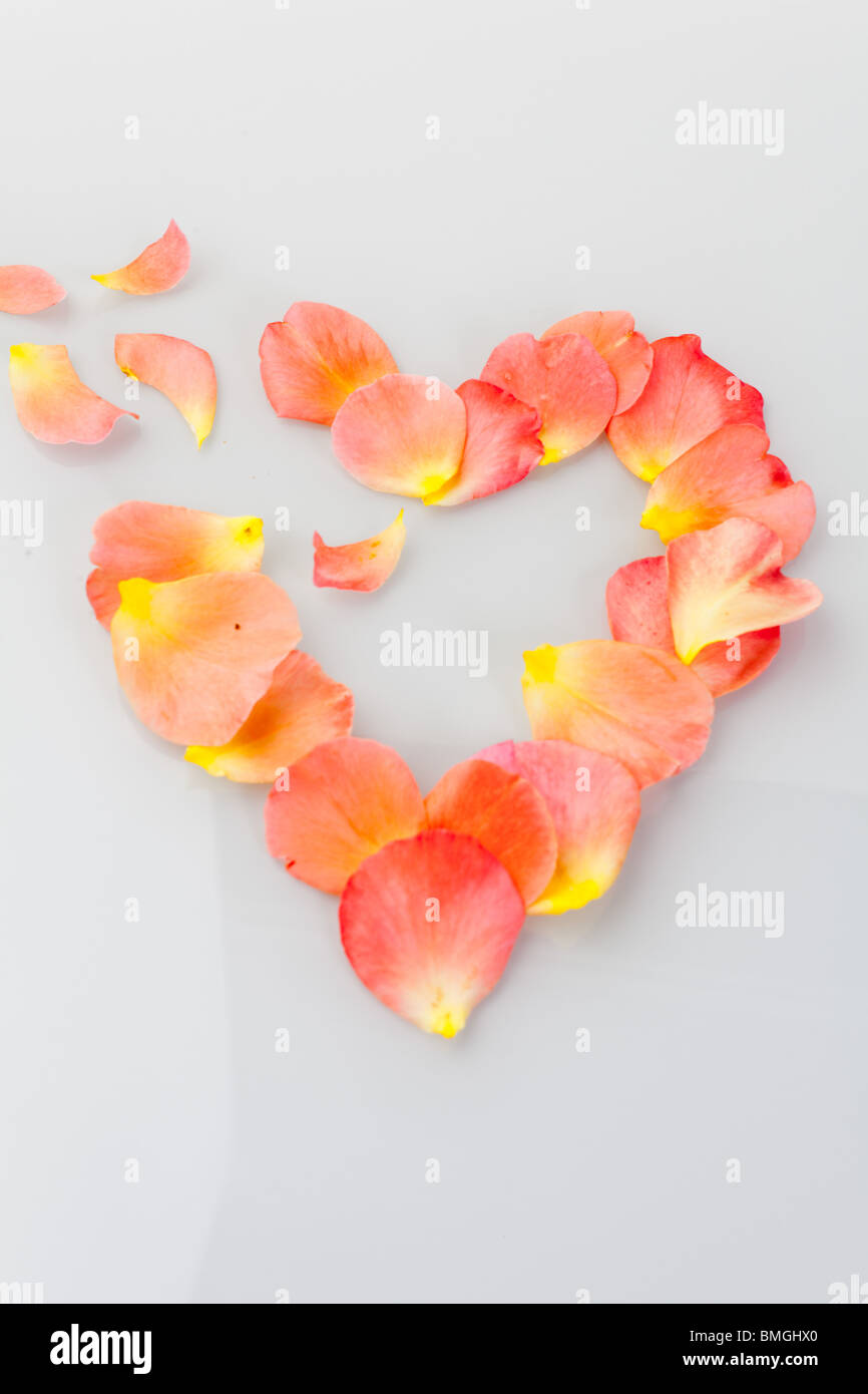 Broken heart with rose petals, Symbol for Lovesickness Stock Photo - Alamy