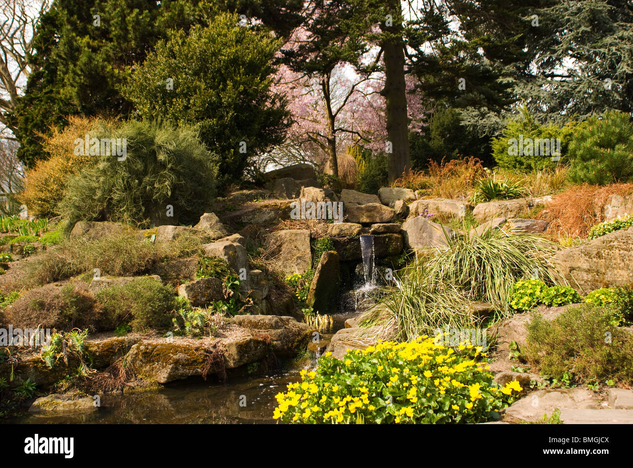 Spring flowers stream garden hi-res stock photography and images - Alamy