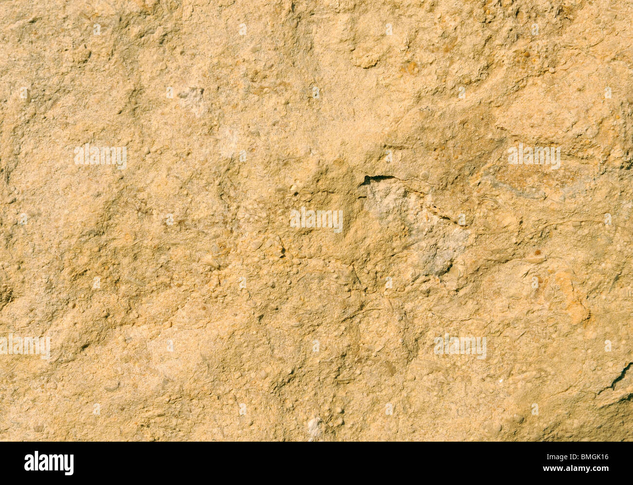 Detail closeup of Cotswold Limestone Rock Stock Photo - Alamy