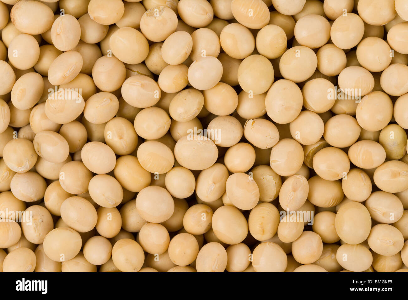 Soybean texture hi-res stock photography and images - Alamy