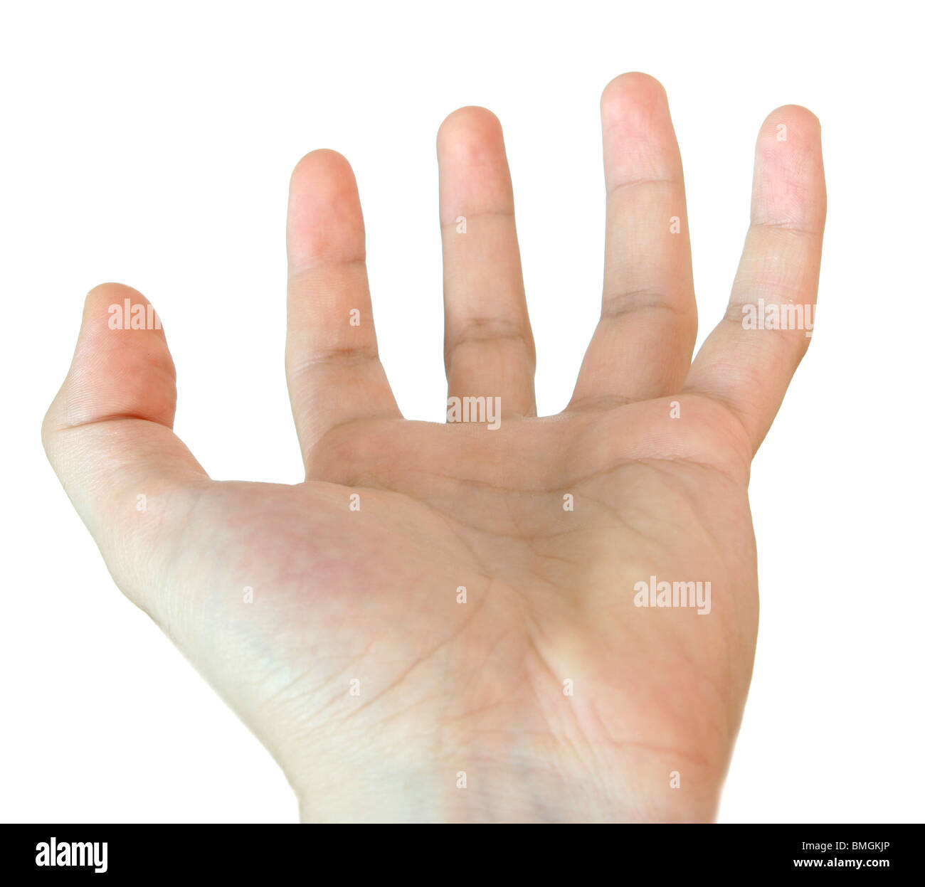 Man hand isolated on white background. Close up Stock Photo - Alamy