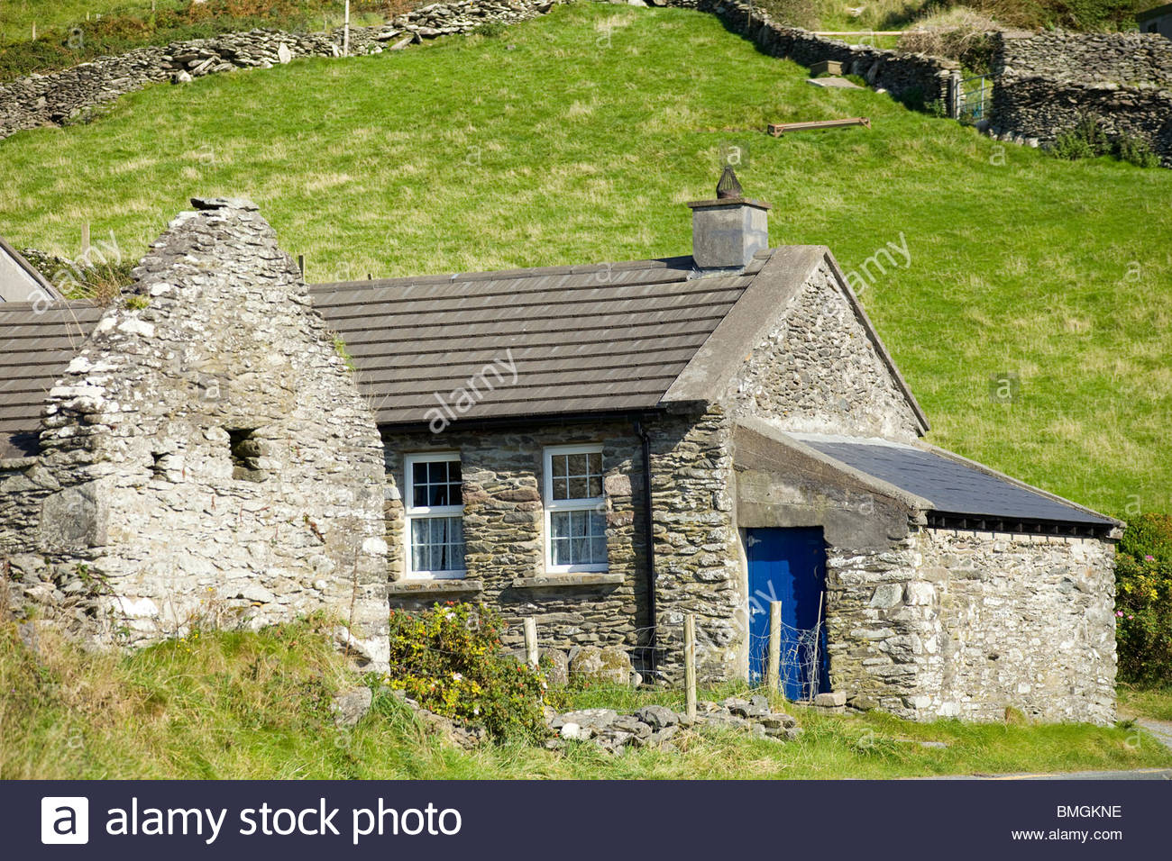 Traditional small irish cottage in countryside Stock Photo, Royalty ...