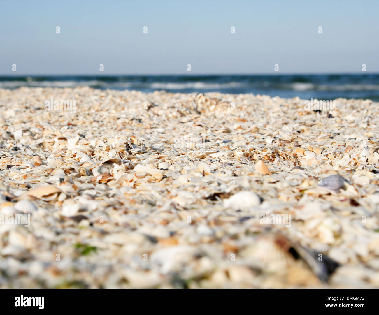 Close-up picture of sand and shells on beach Stock Photo - Alamy