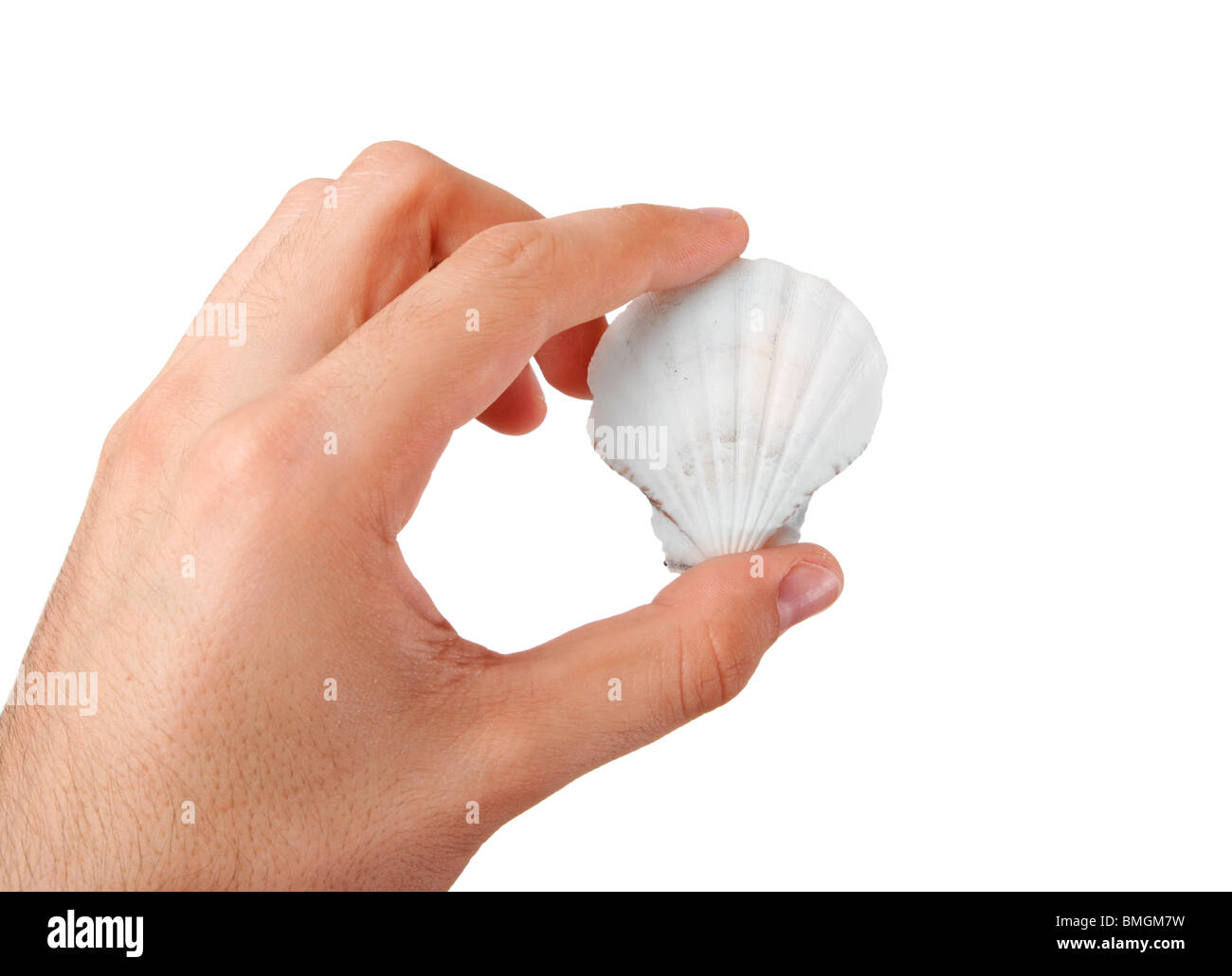 Shell in a man hand. Isolated on white Stock Photo - Alamy