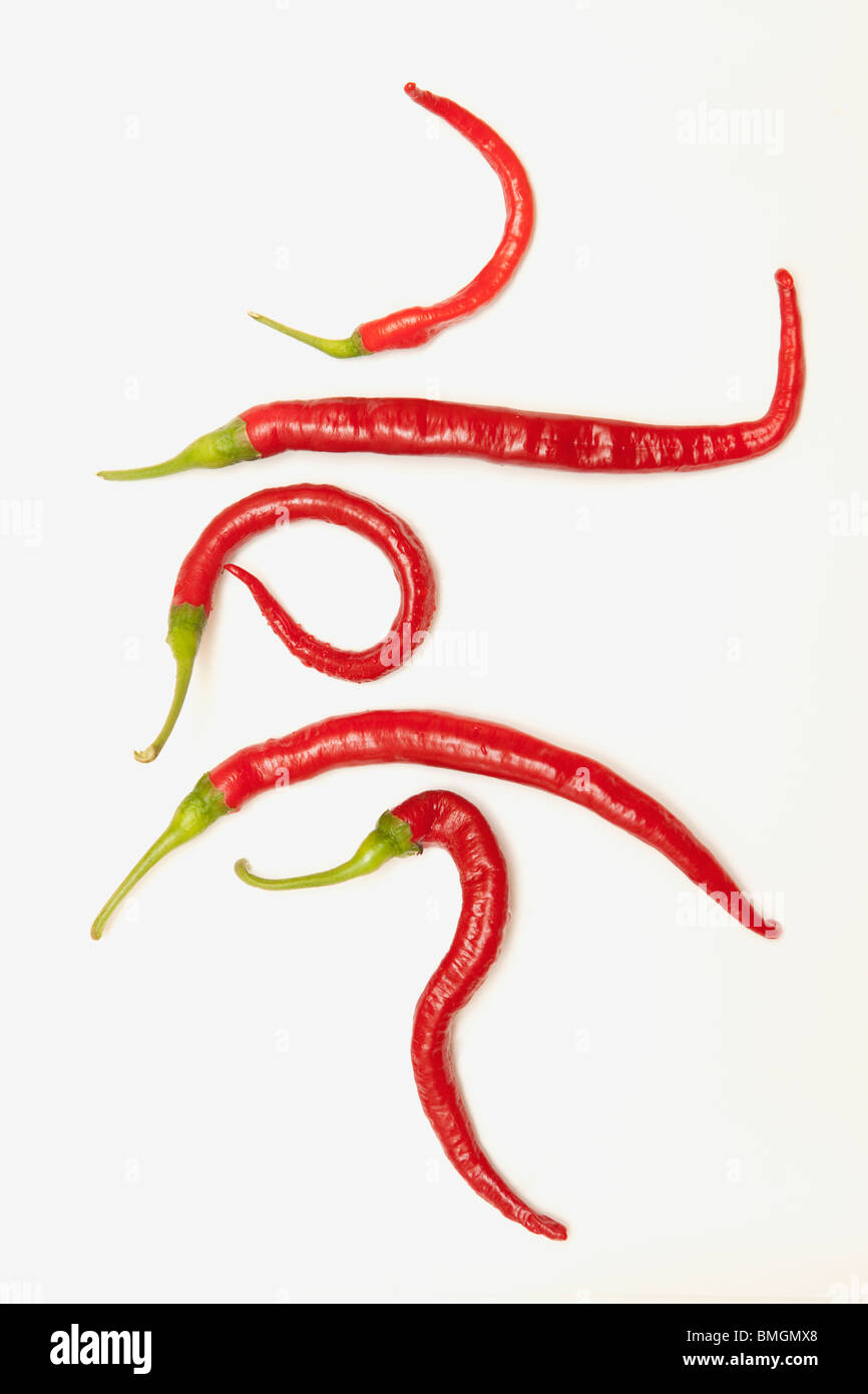 Curled Red Hot Chili Pepper High Resolution Stock Photography and ...