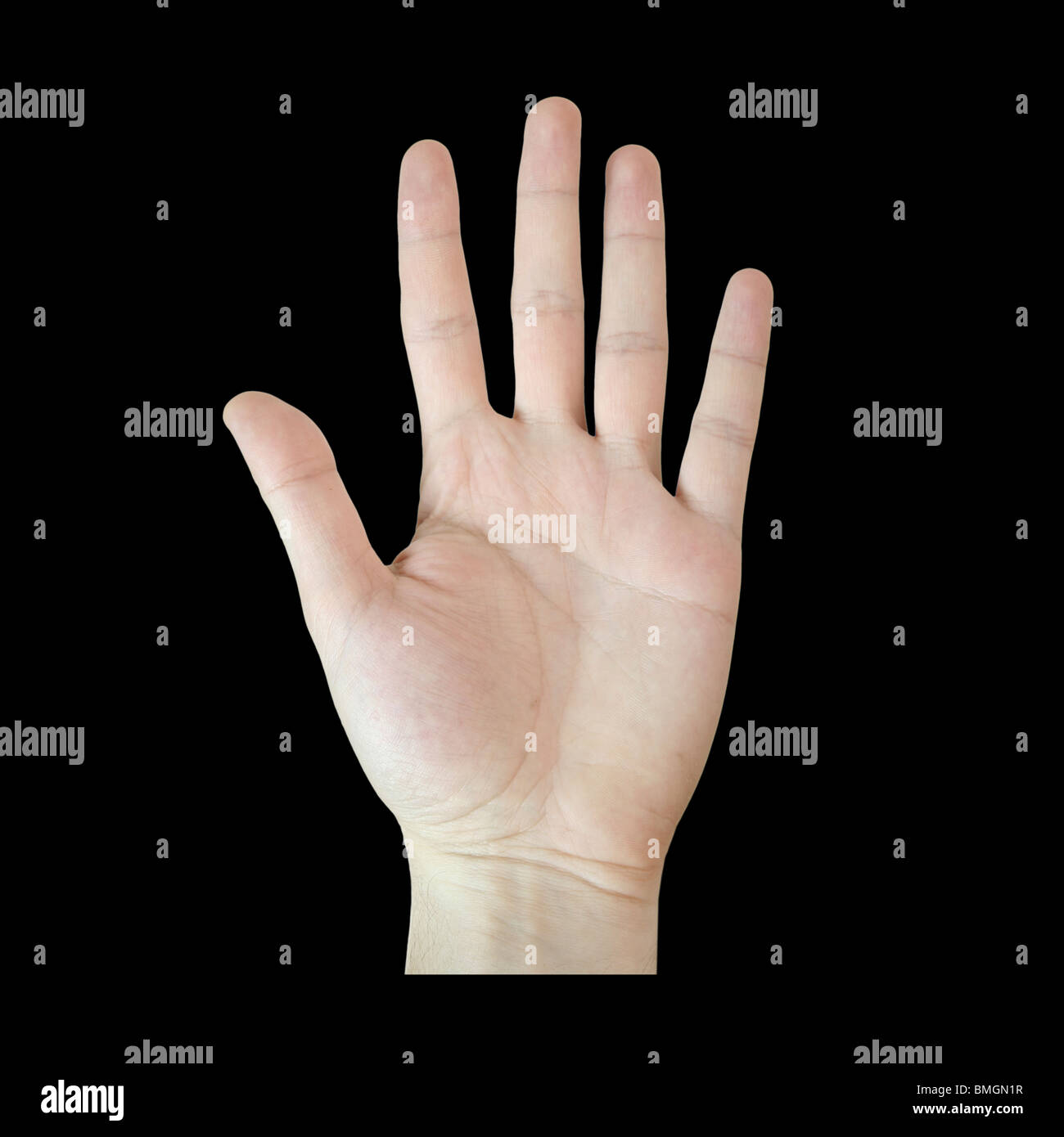 Human hand parts palm hi-res stock photography and images - Alamy