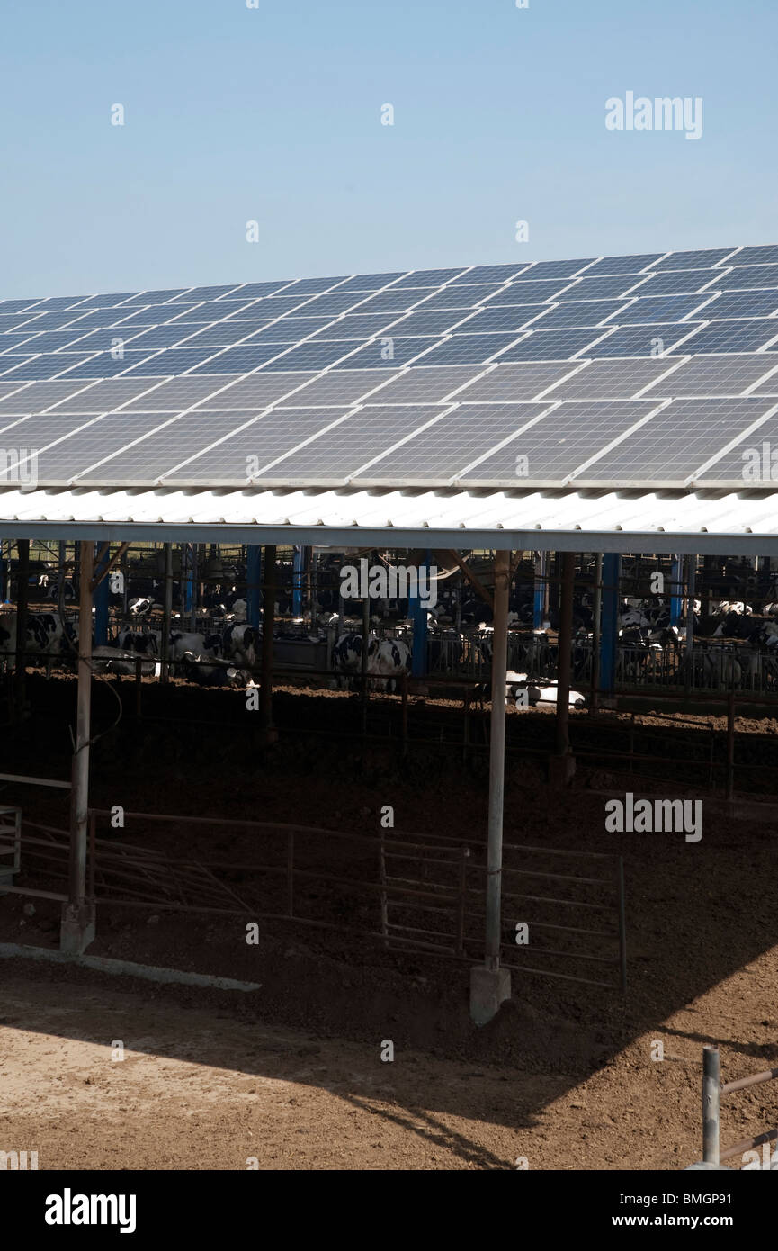 Electricity converting solar panels on a roof of a cowshed Stock Photo ...