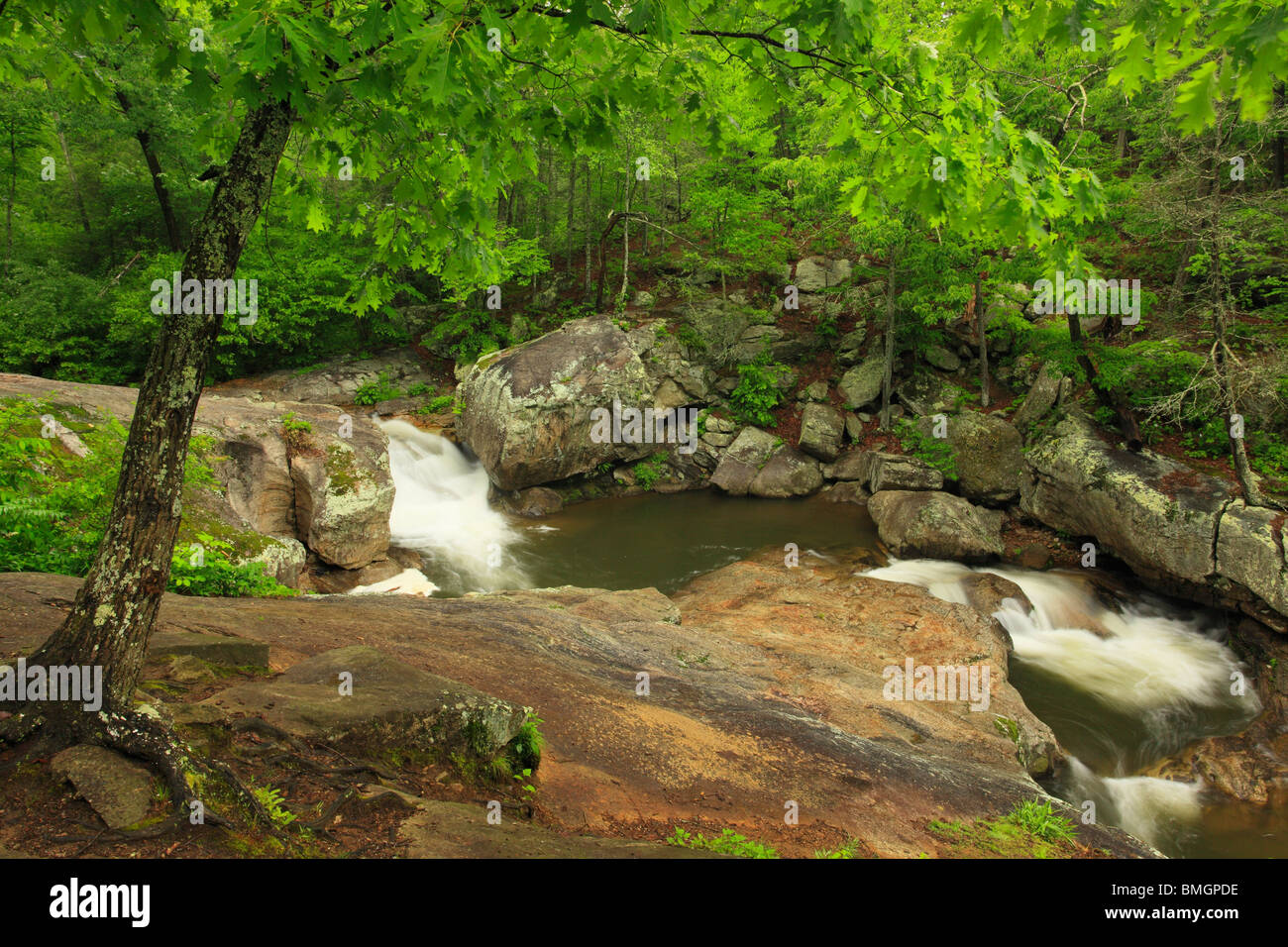 Panther ridge trail hi-res stock photography and images - Alamy