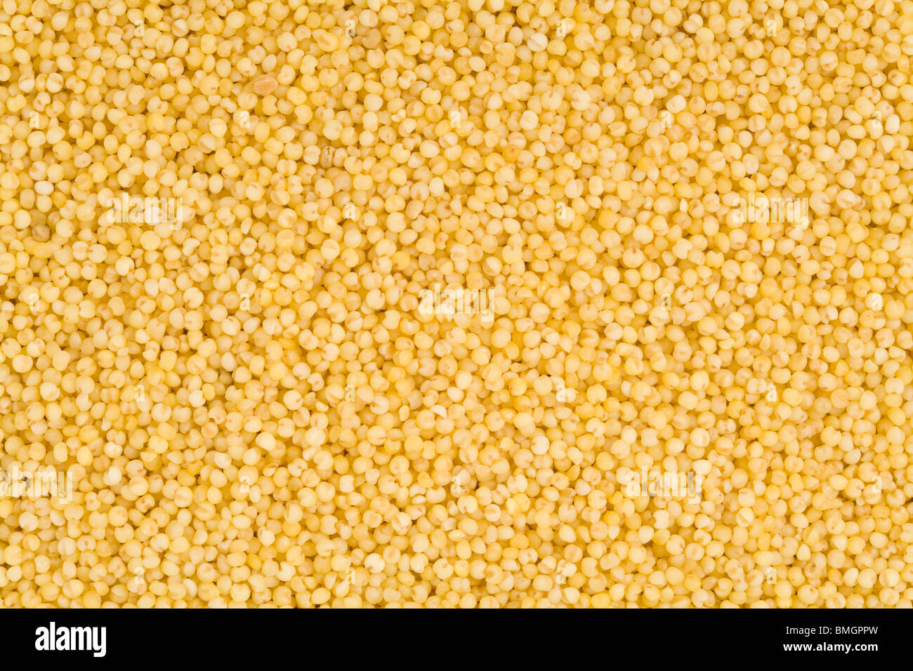 yellow millet seeds for background Stock Photo - Alamy