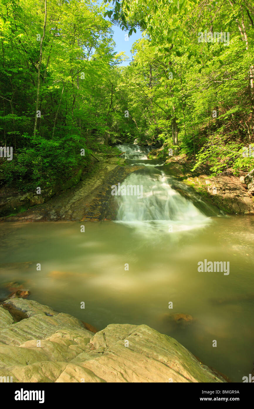 Roaring Run Falls, Roaring Run Recreational Area, Eagle Rock, Virginia ...