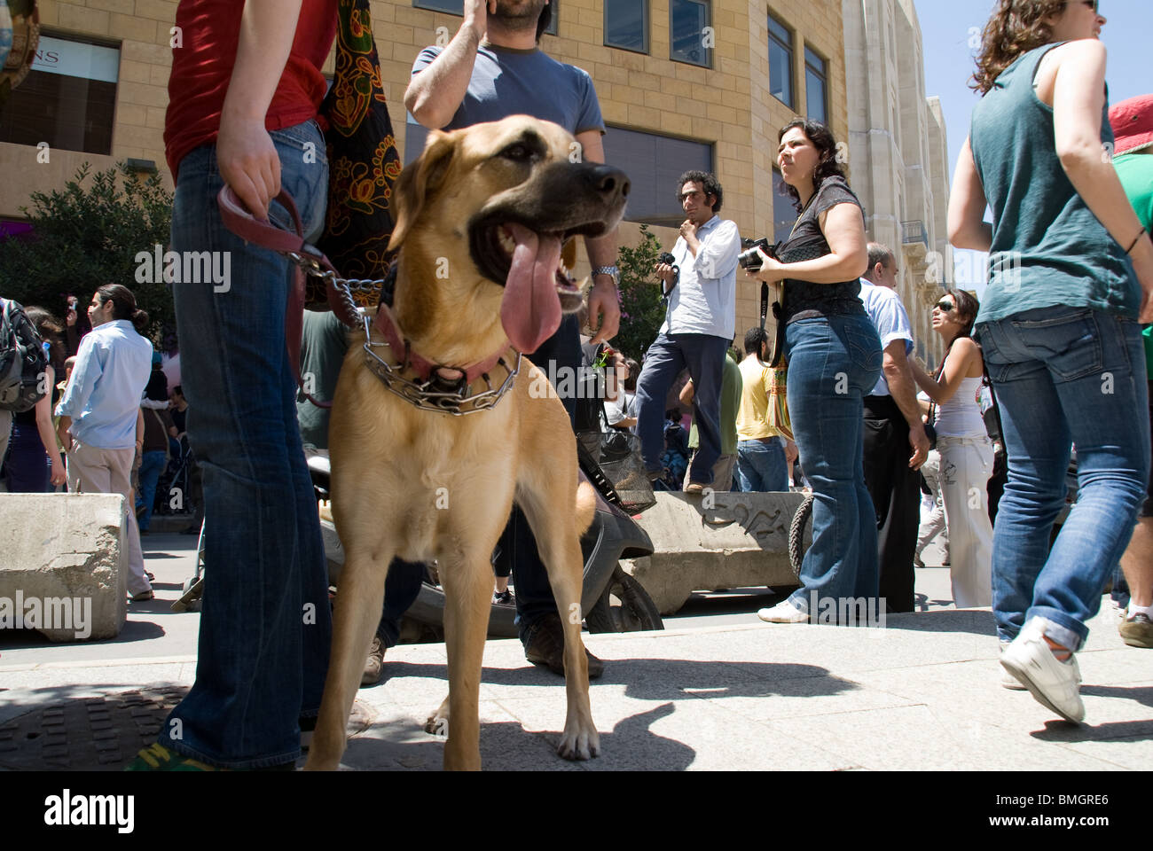 Lebanese Laique pride, a secular movement for citizenship Stock Photo ...