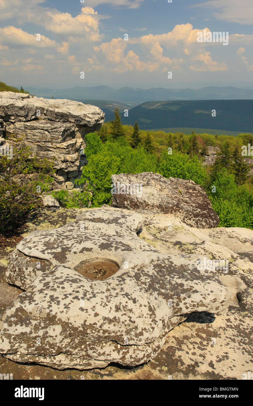Bear Rocks Preserve, Dolly Sods Wilderness, Hopeville, West Virginia ...