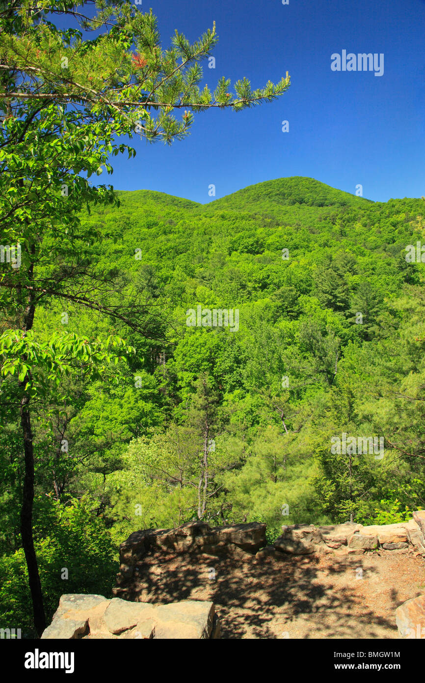 Roaring Run Falls Trail Overlook, Roaring Run Recreational Area, Eagle ...