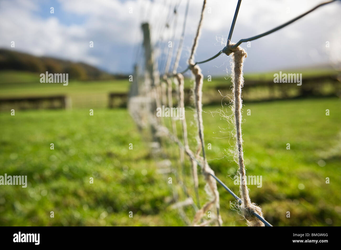 Field barrier hi-res stock photography and images - Alamy