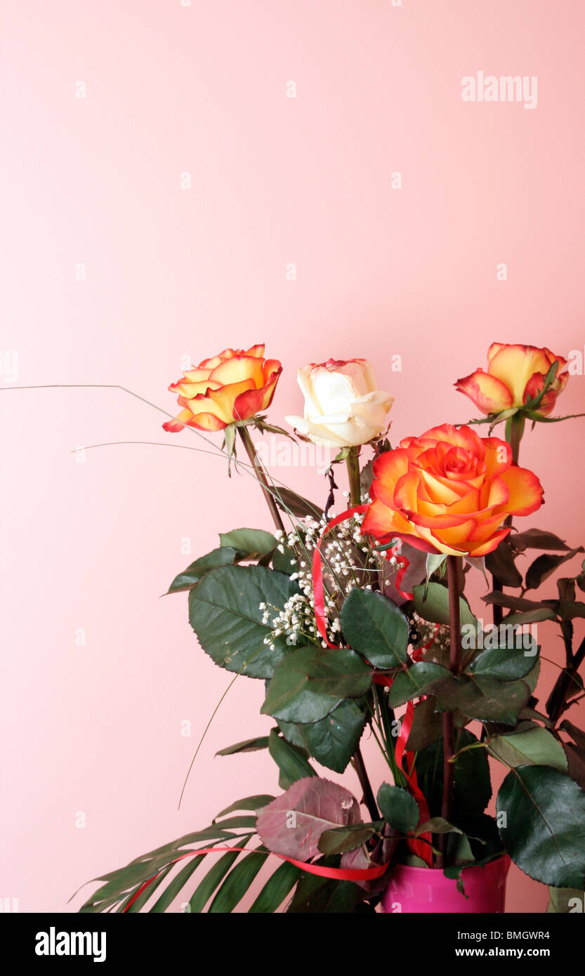 Bouquet of beautiful fresh roses Stock Photo - Alamy