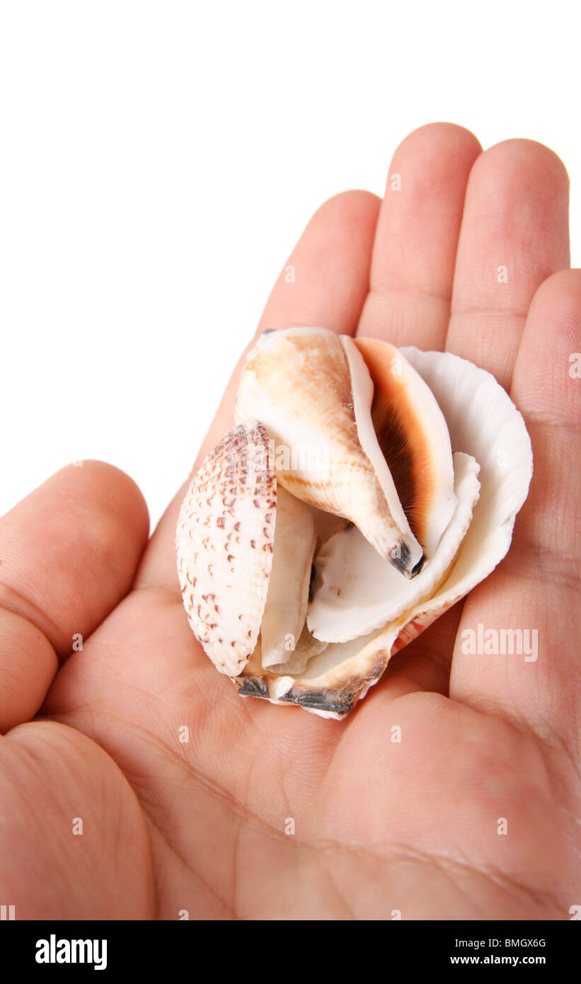 Spirals groups hi-res stock photography and images - Alamy