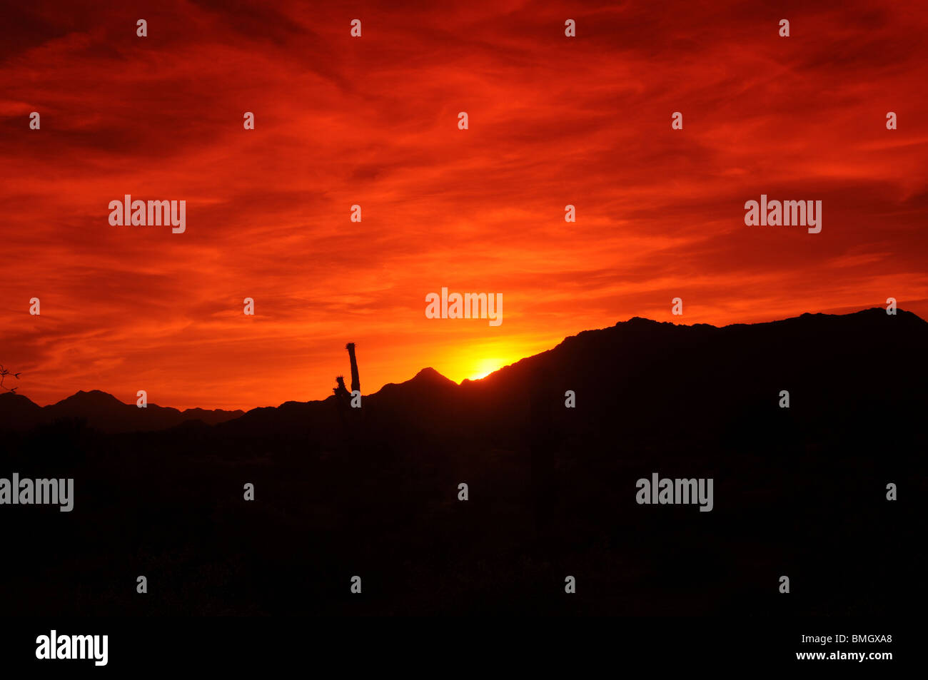 Brilliant red sunset in central Arizona USA Stock Photo - Alamy