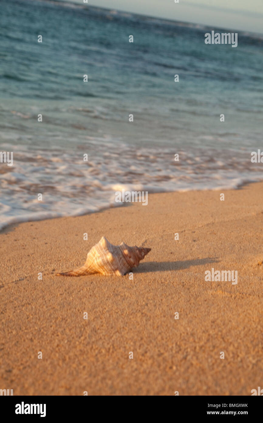 Receding beach hi-res stock photography and images - Alamy