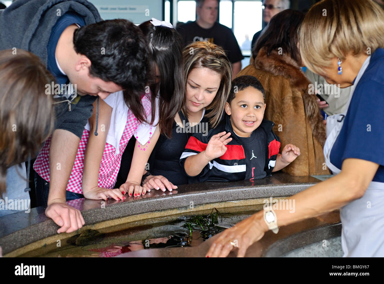 People enjoying the touch tide pool at the Monterey Bay Aquarium Stock ...