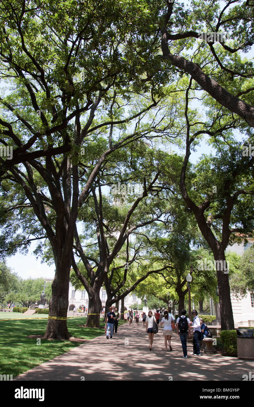 College students walking along pathway on campus of University of Texas ...